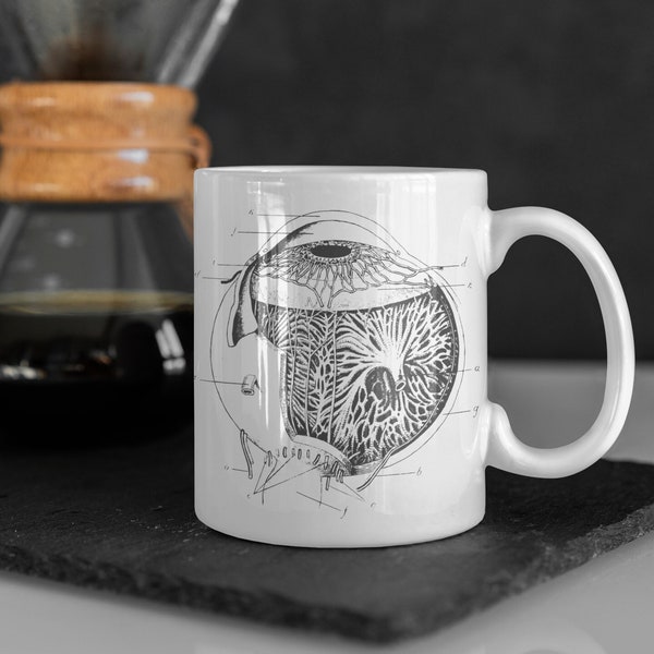 Eye Anatomy Mug - Etsy