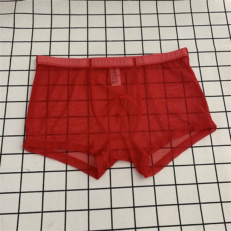 Mens Lingerie See Through Briefs Boxers Bulge Pouch Underwear / Femboy ...