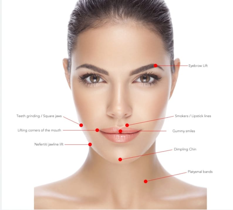 Advanced Botulinum Toxin Full Manual Digital Download - Etsy