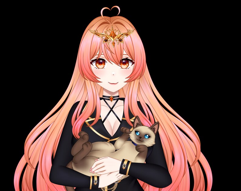 Vtuber Full Body High Quality 2 Outfits Ready to Use and Full Rigged ...