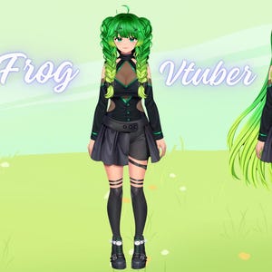 Frog Vtuber Ready to Use for Vtube Studio Full Rigged With 3 Hairstyles ...
