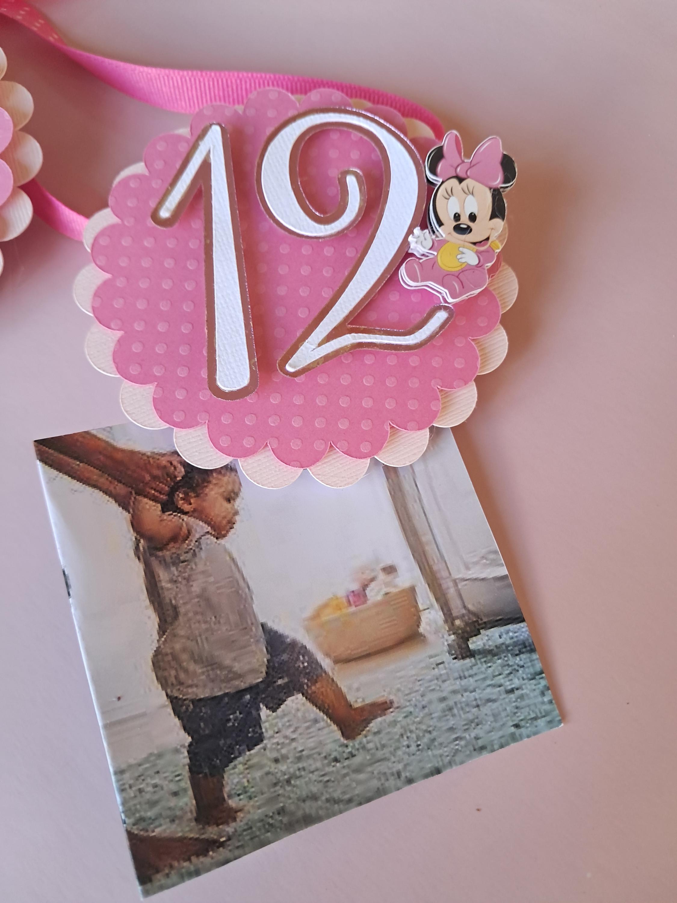 Minnie Mouse Milestone Banner: Baby Girl 1st Birthday Decoration - Etsy