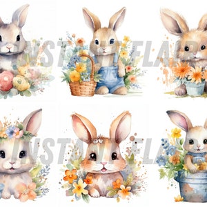 Bunny Clip Art Bundle of 6 PNG, Watercolor, Cute, Nursery Digital ...