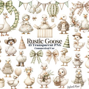 45 Rustic Goose Clipart – Transparent PNG – Commercial Use – Instant ...