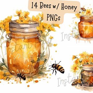 Watercolor Bees & Honey Jar Clipart Bundle (14 PNG) - Etsy