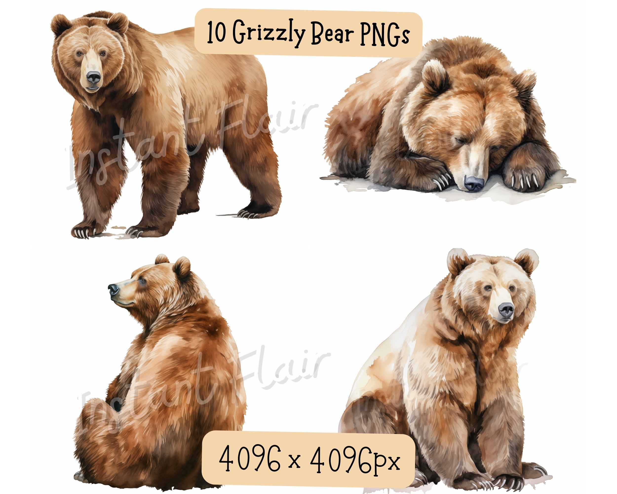 Grizzly Bears Clipart Bundle Bear Clipart Clip Art Paper Bear Craft