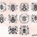Honey Bee Line Art Clip Art Bundle, 50 Transparent PNG Grapics ...