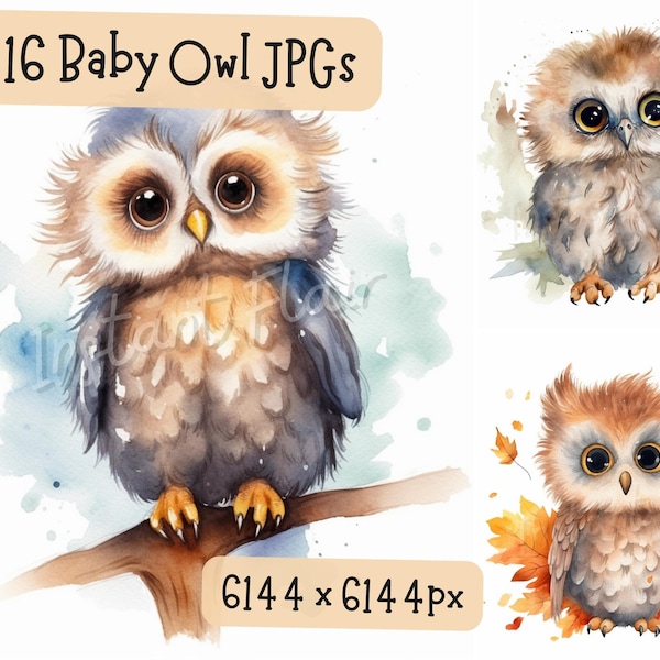 Cute Owls Clip Art - Etsy