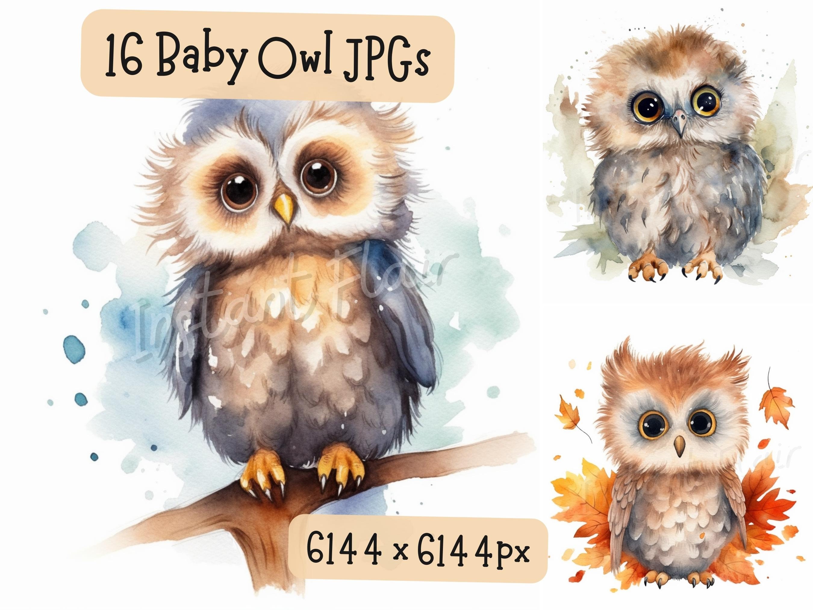 Cute Baby Owl Drawing