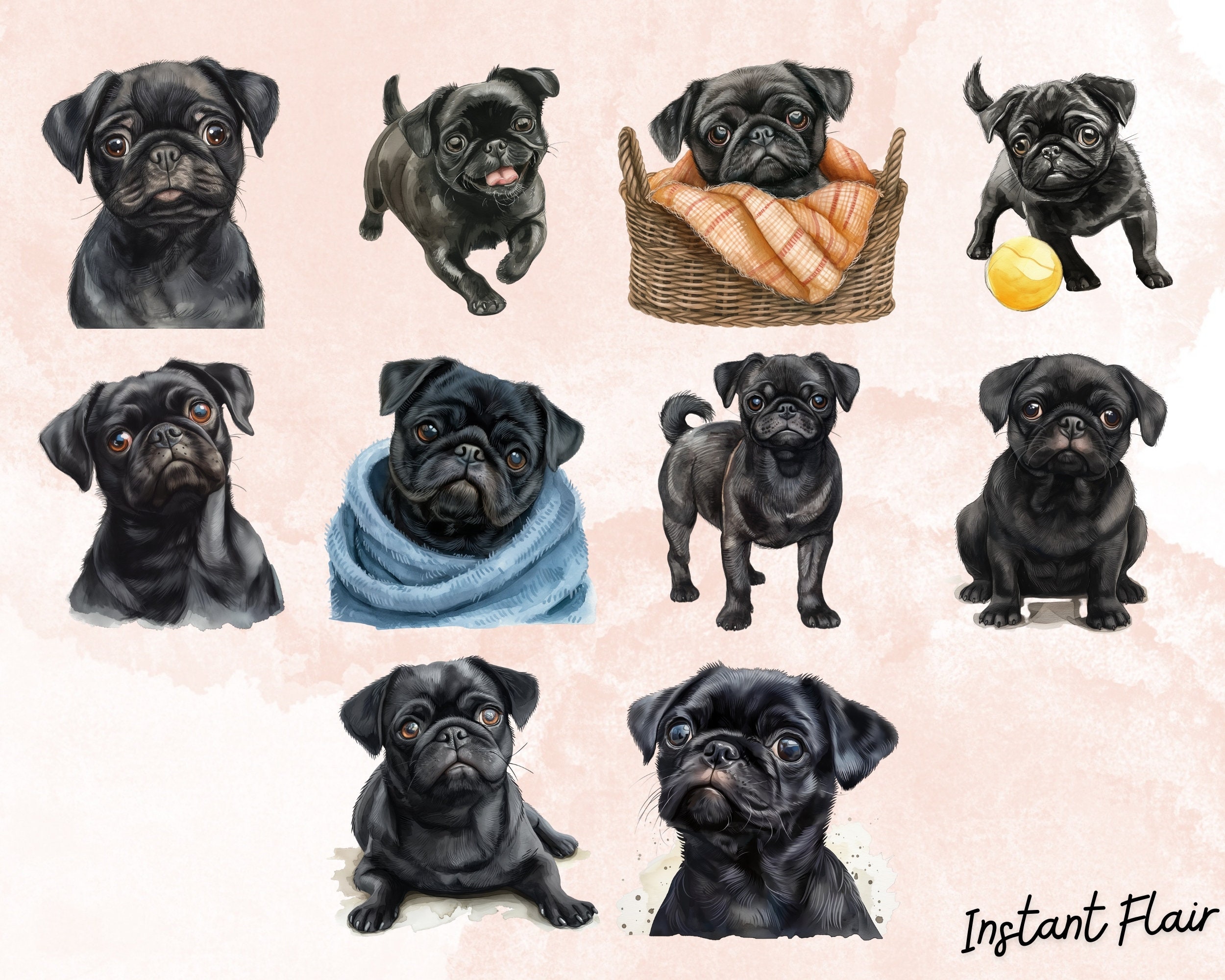 Watercolor Pug Clipart Bundle, Transparent PNG Graphics (digital ...