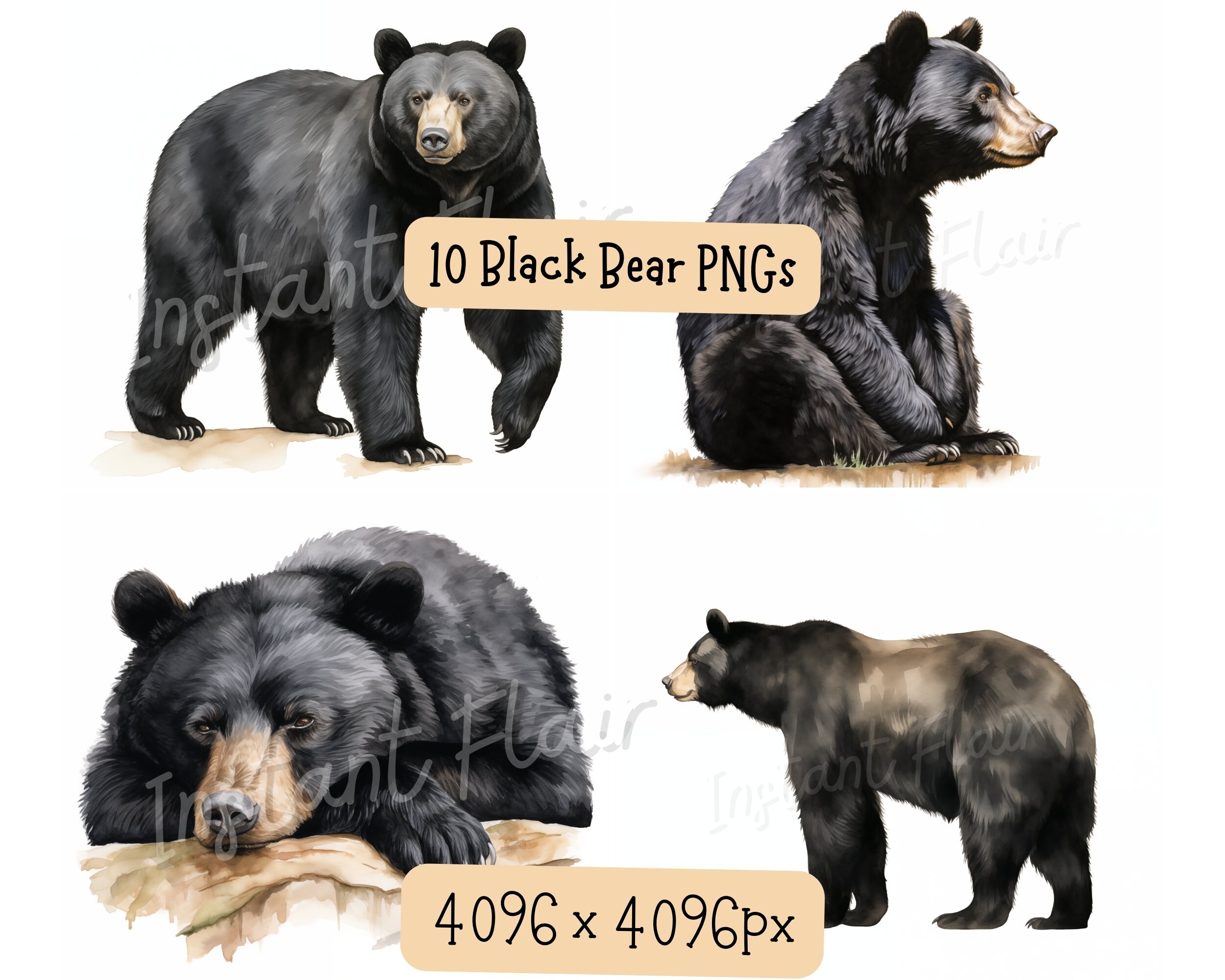 Black Bear Watercolor Clip Art Bundle, PNG Designs, Decorative Images ...