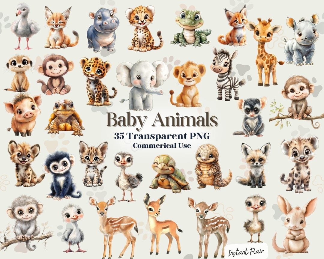 35 Baby Animal Clipart – Transparent PNG – Commercial Use – Instant ...
