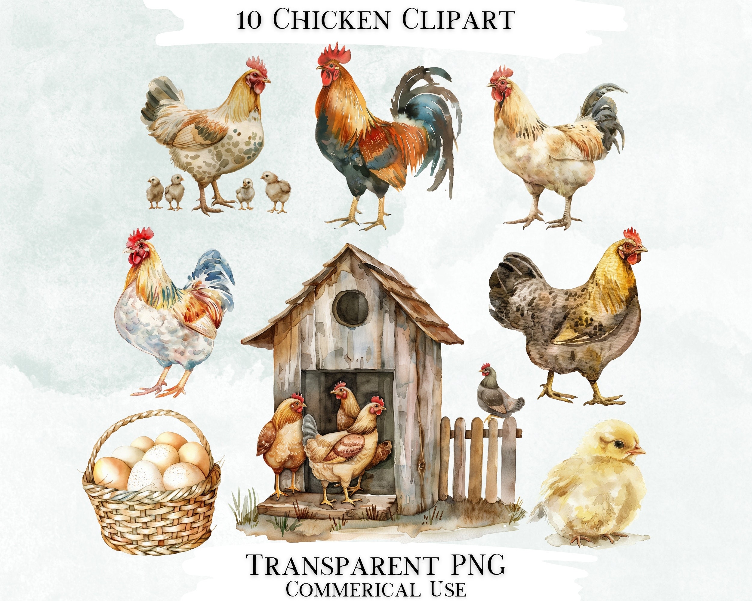 Chicken Watercolor Clip Art Bundle, Transparent PNG Designs, Decorative ...