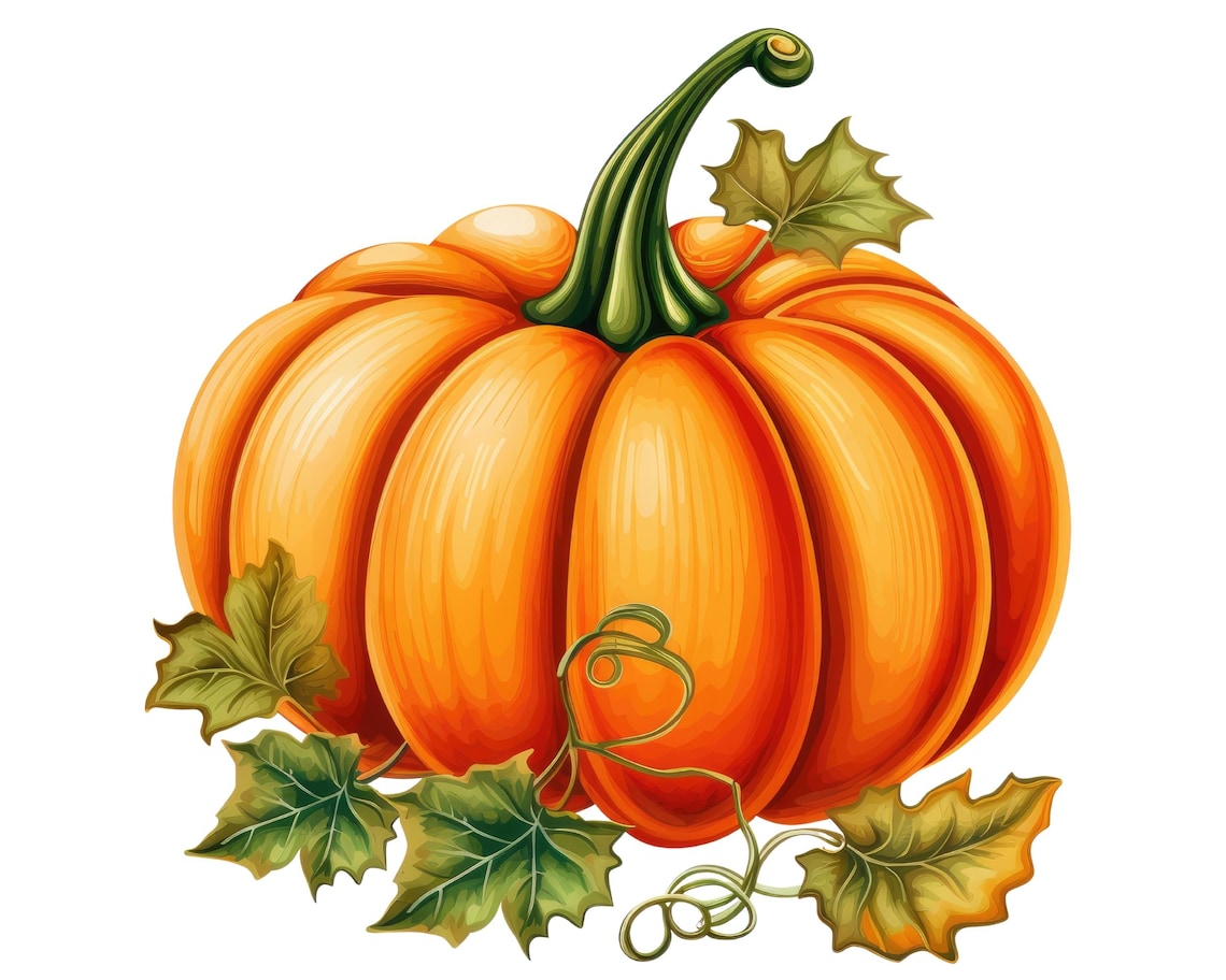 Pumpkin Clip Art Bundle, 10 PNG Designs, Decorative Images, Digital ...