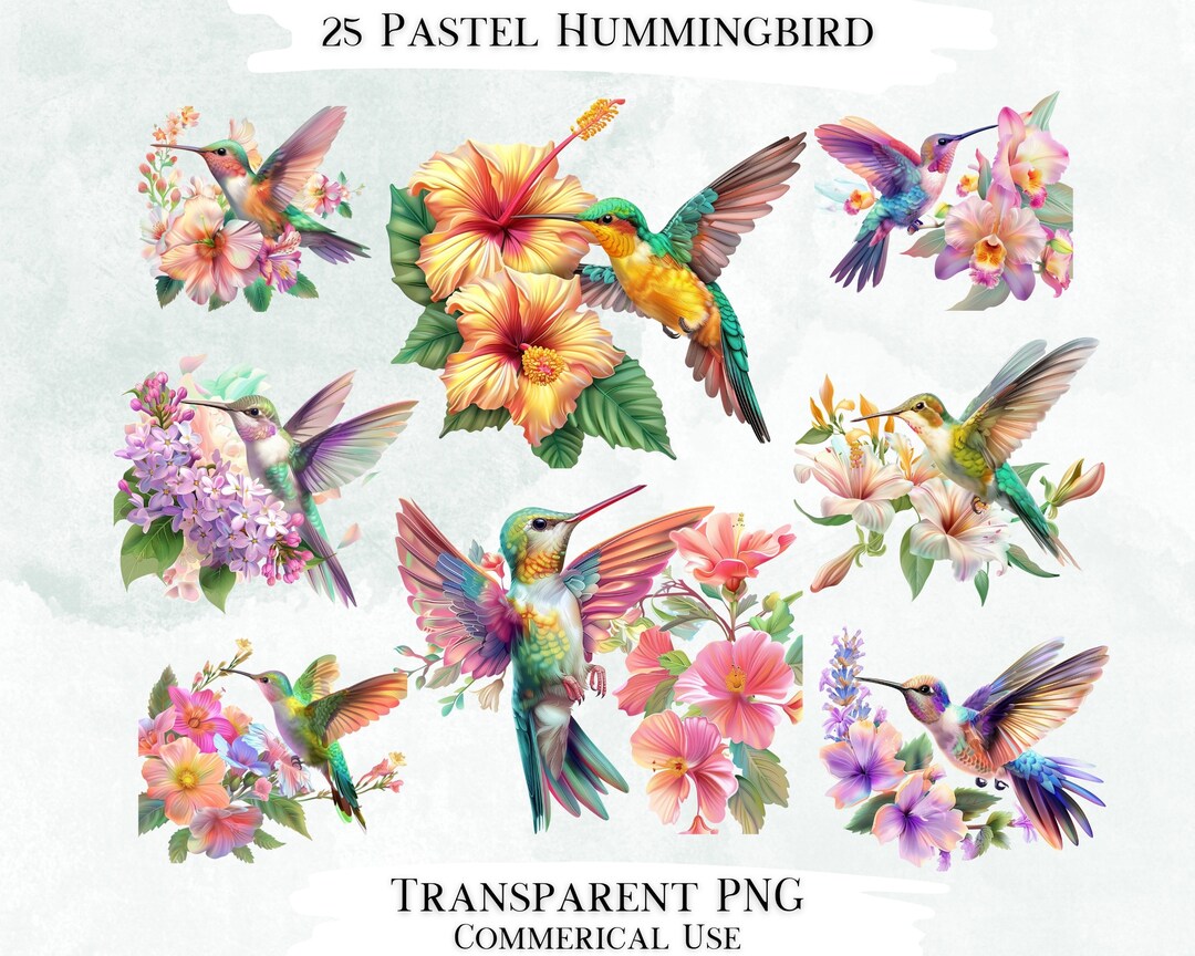 Pastel Hummingbird Clip Art Bundle, 25 Transparent PNG Designs ...