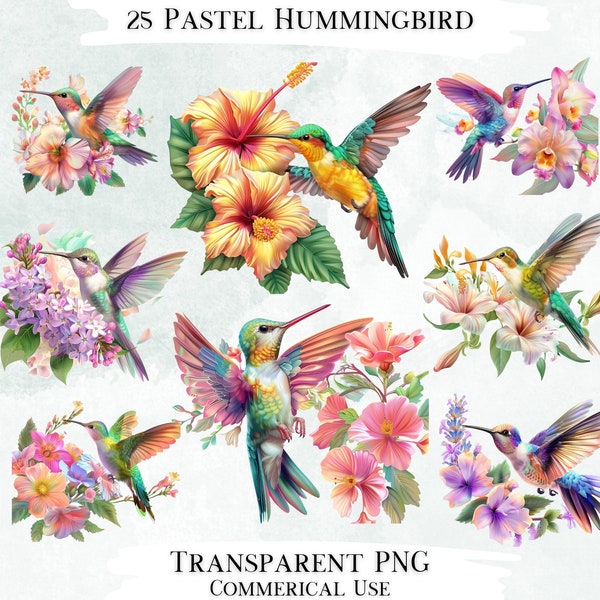Hummingbird Clip Art - Etsy