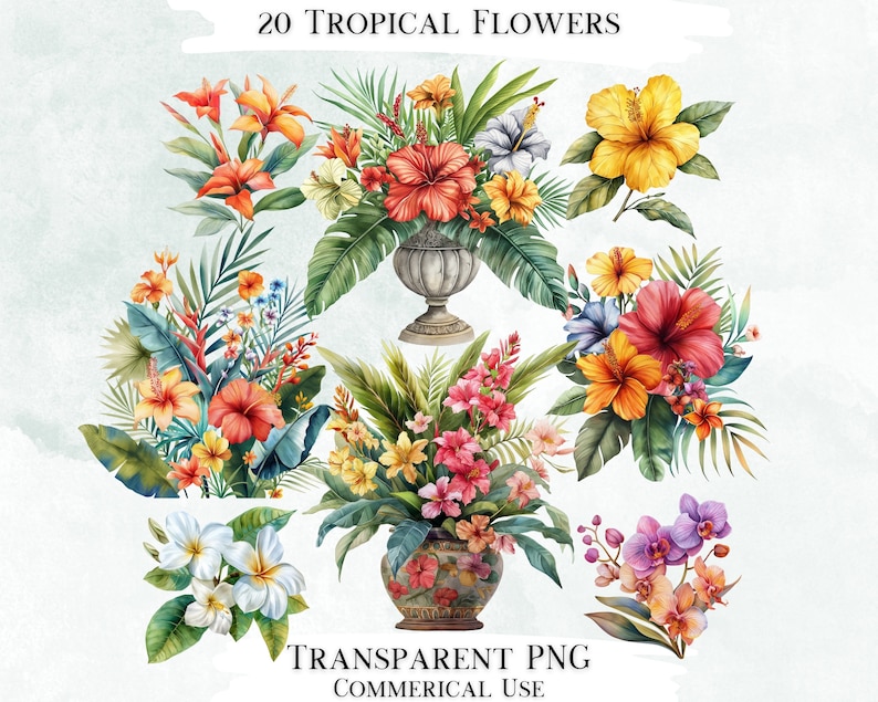 Watercolor Tropical Flowers Clip Art Bundle, 20 Transparent PNG Designs ...
