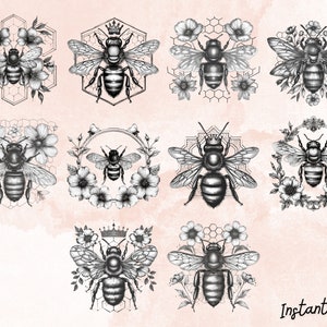 Honey Bee Line Art Clip Art Bundle, 50 PNG Graphics (commercial Use) - Etsy