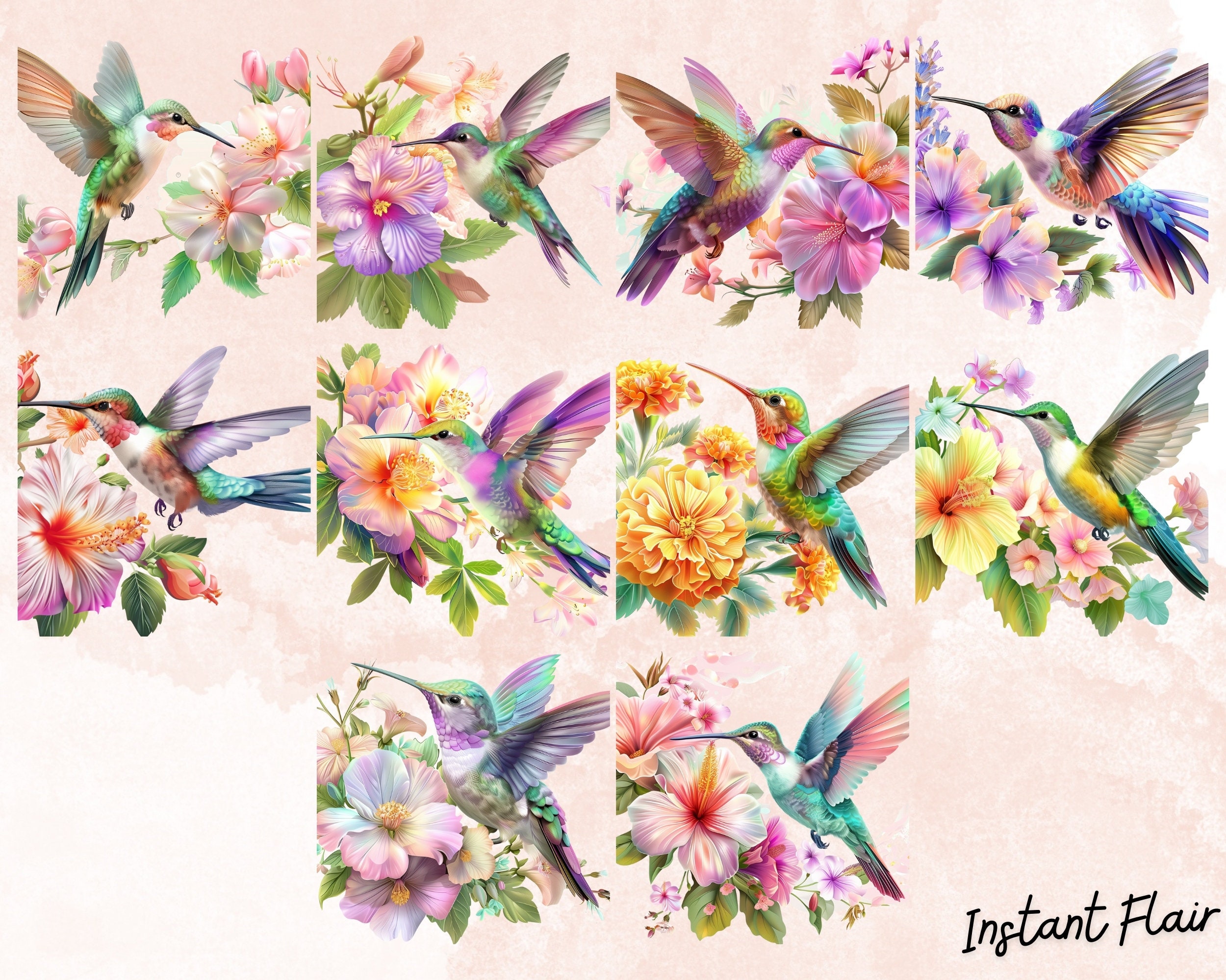 Pastel Hummingbird Clip Art Bundle, 25 Transparent PNG Designs ...