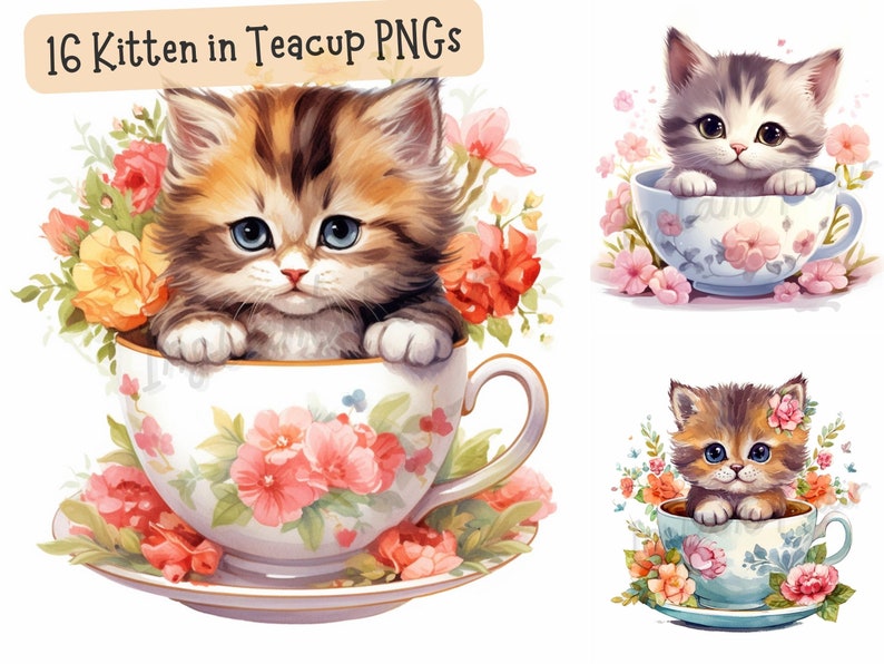 Kitten in Teacup Clip Art Bundle 16 PNG Designs Watercolor Cute Artsy ...
