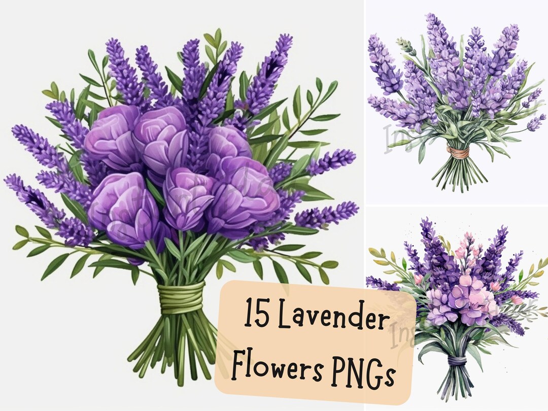 Lavender Flowers Clip Art Bundle 15 PNG Designs Watercolor Cute Artsy ...