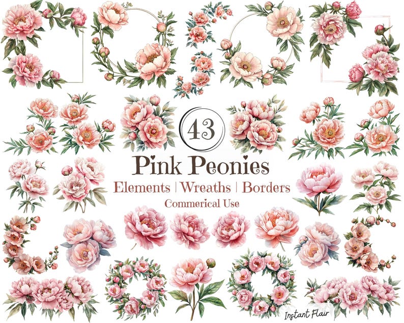 Pink Peonies Clipart – Floral Wreaths and Borders, PNG (commercial Use ...