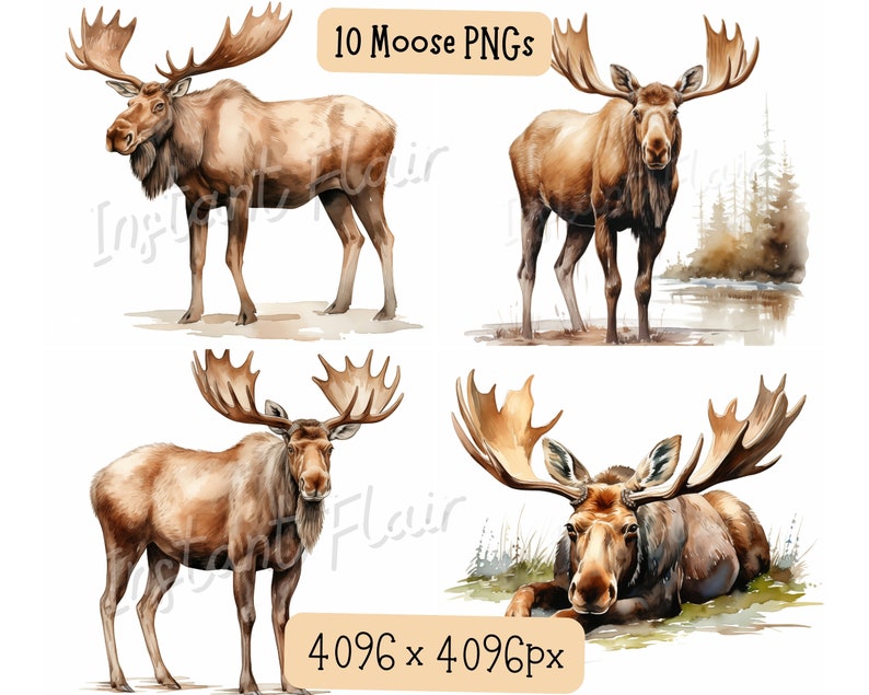 Moose Watercolor Clip Art Bundle, PNG Designs, Decorative Images ...