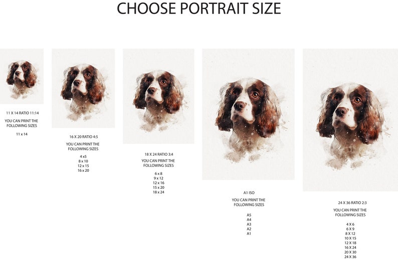 Custom Pet Portraits Using Photo Watercolor Pet Style - Etsy