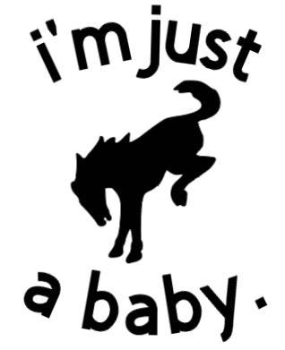 Baby Bronco Decal - Etsy