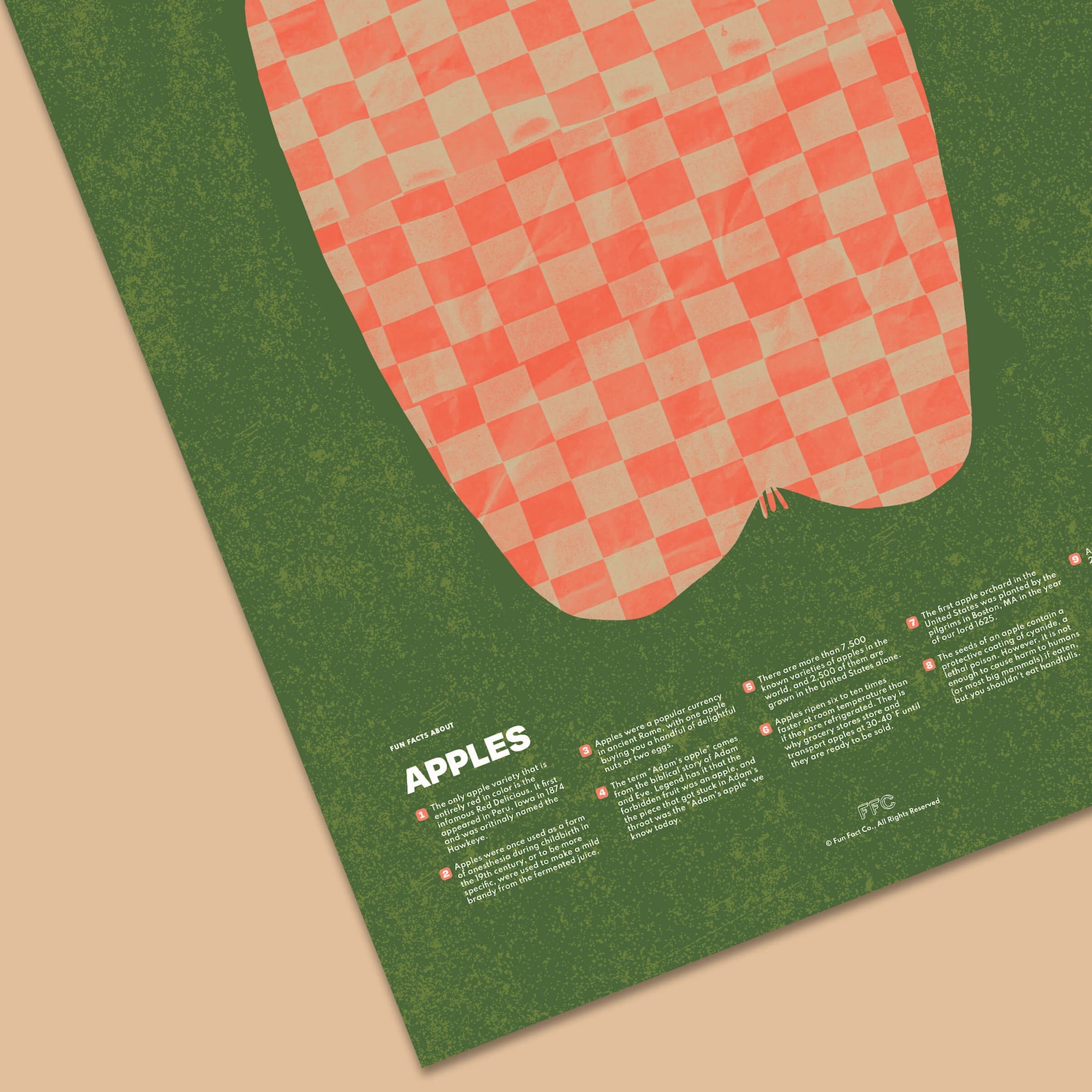 Apple Fun Fact Print, Colorful Educational Poster, Fruit Art for ...