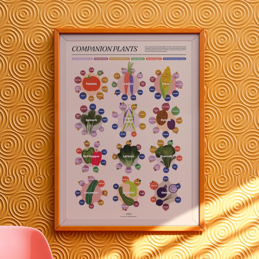 Companion Planting Guide Print, Companion Planting Poster, Gardening ...
