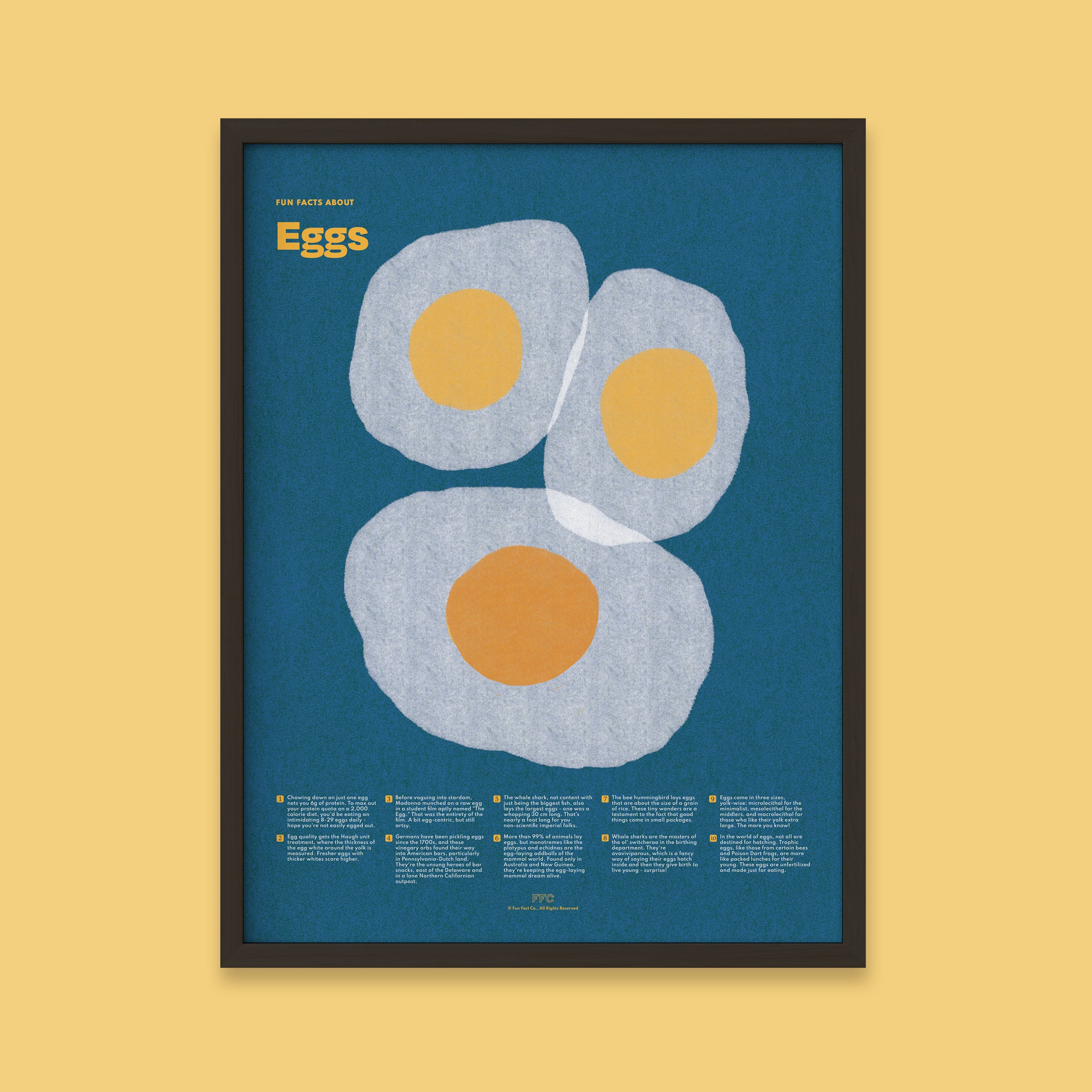 Illustrated Eggs Print, Colorful Food Educational Poster, Modern Food ...