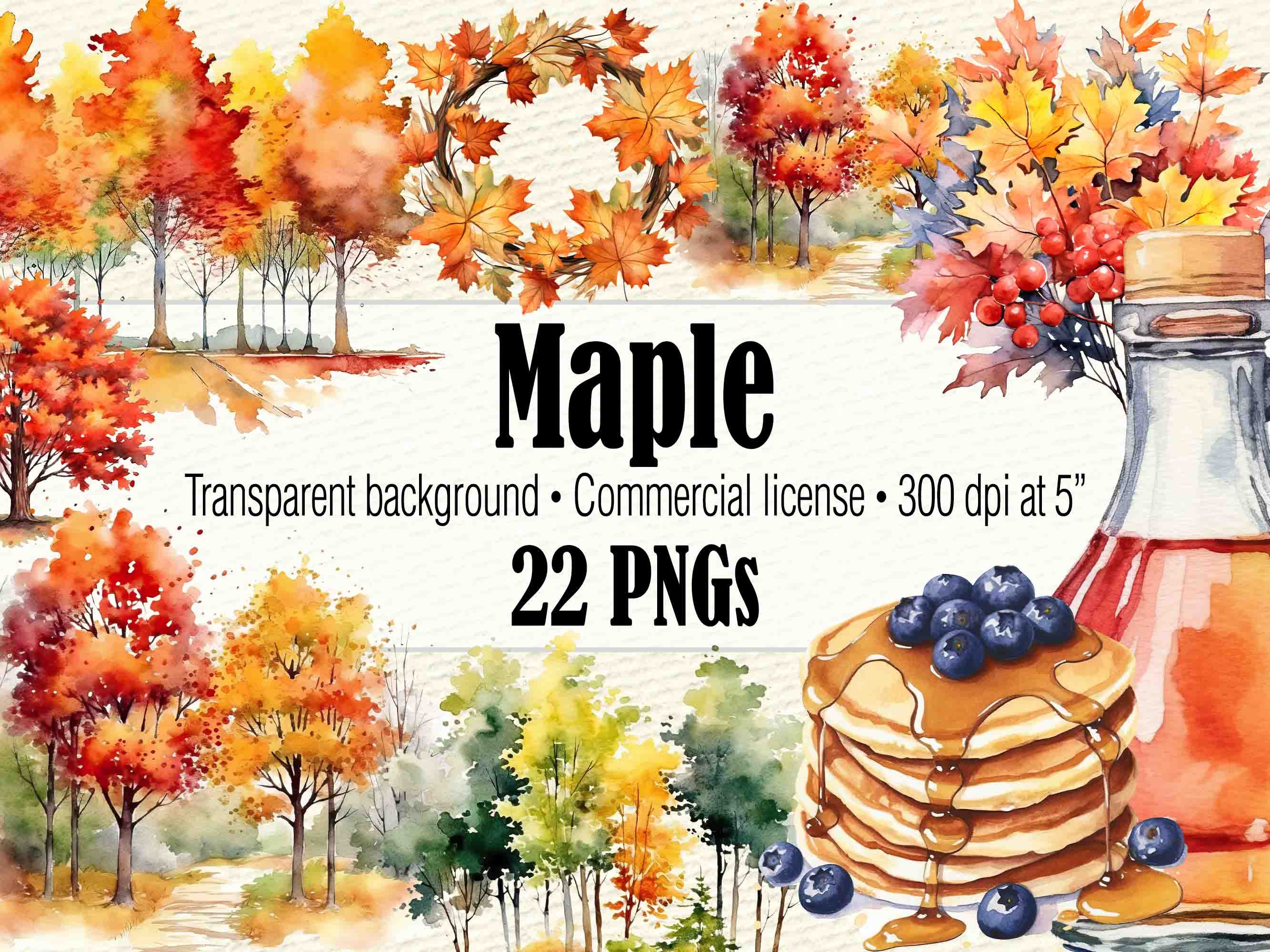Watercolor Maple Wreath Clipart, Watercolor Maple Tree Clipart, Fall ...