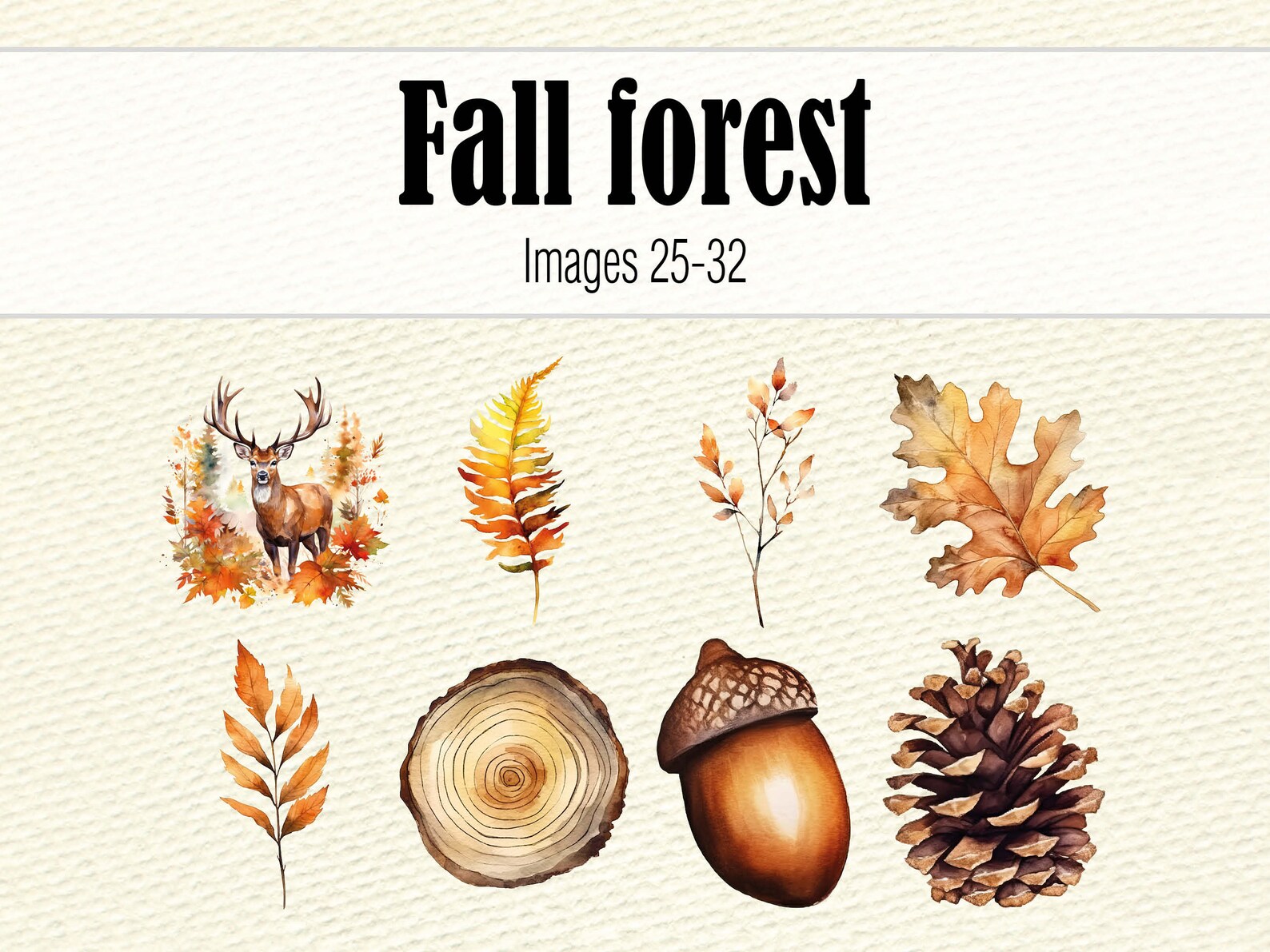 Watercolor Autumn Clipart Woodland Animals Fall Leaves - Etsy