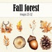 Watercolor Autumn Clipart Woodland Animals Fall Leaves - Etsy