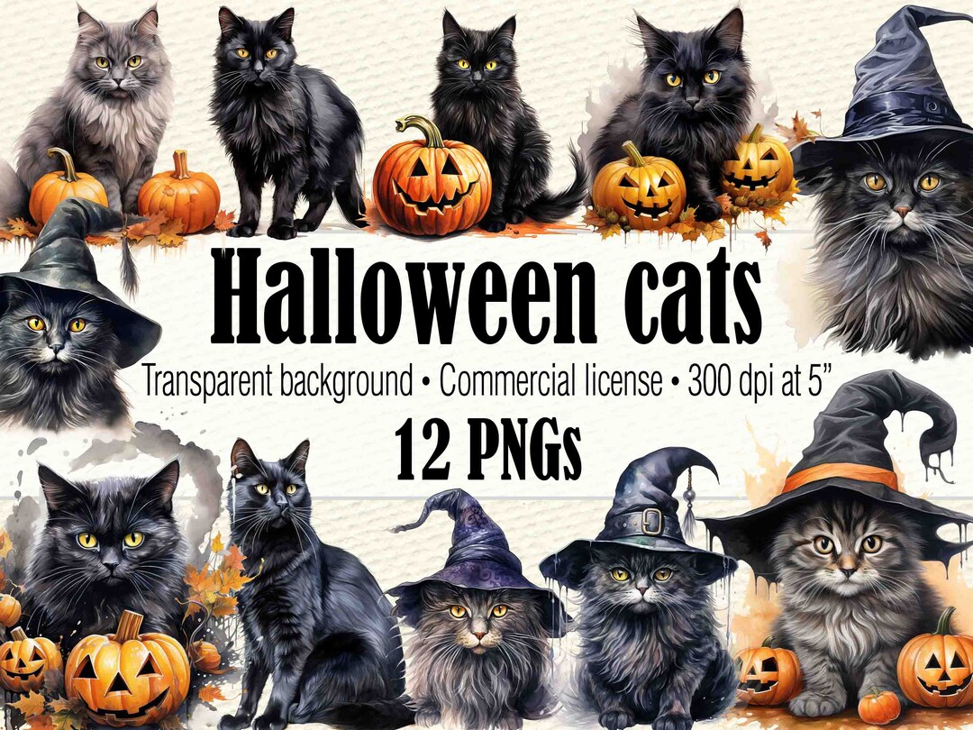 Halloween Cat PNG, Halloween Black Cat Clipart, Cute Halloween PNG ...