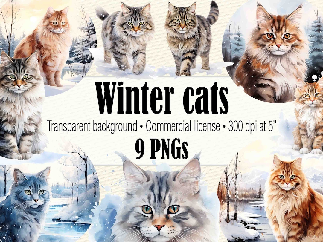 Winter Cats Png, Christmas Cat Png, Winter Cat Clipart Png, Watercolor ...