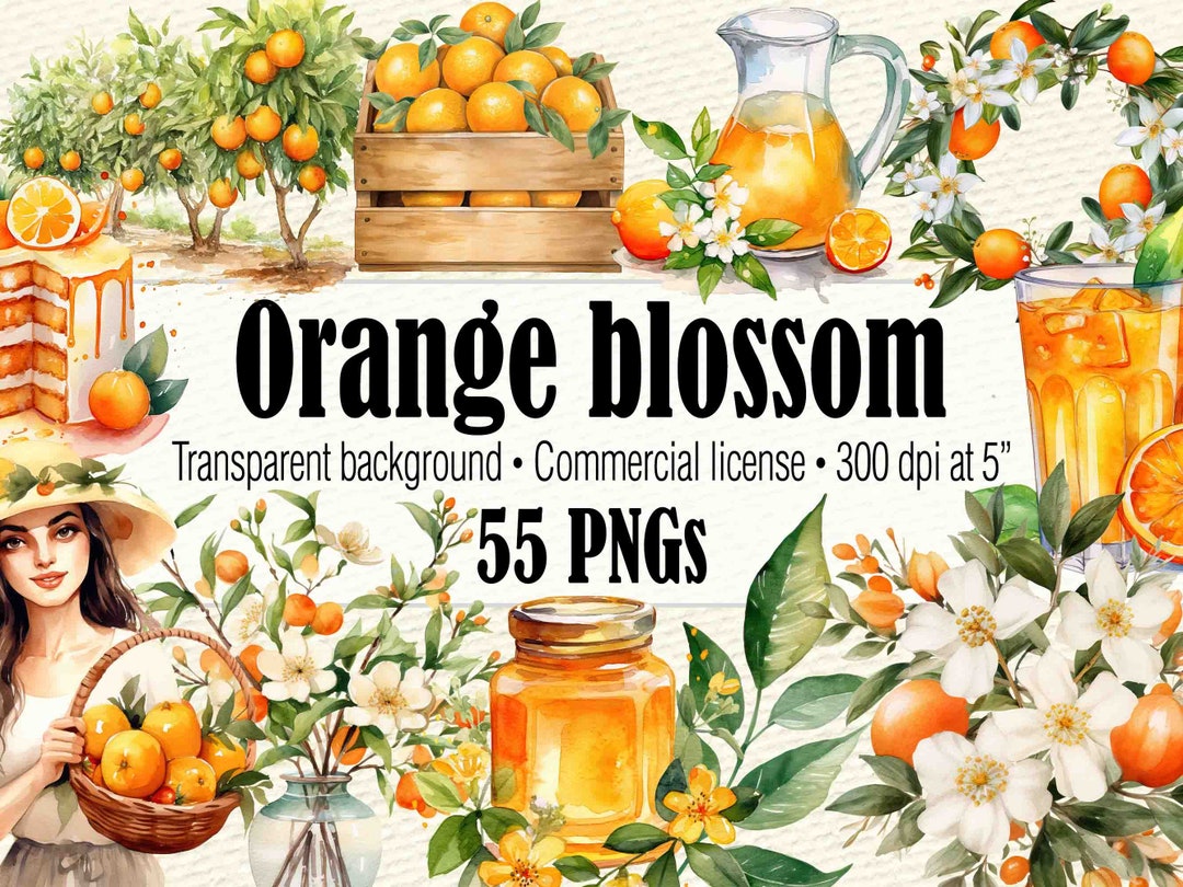 Watercolor Orange Blossom Clipart, Orange Fruit Clipart, Wreath Clipart ...