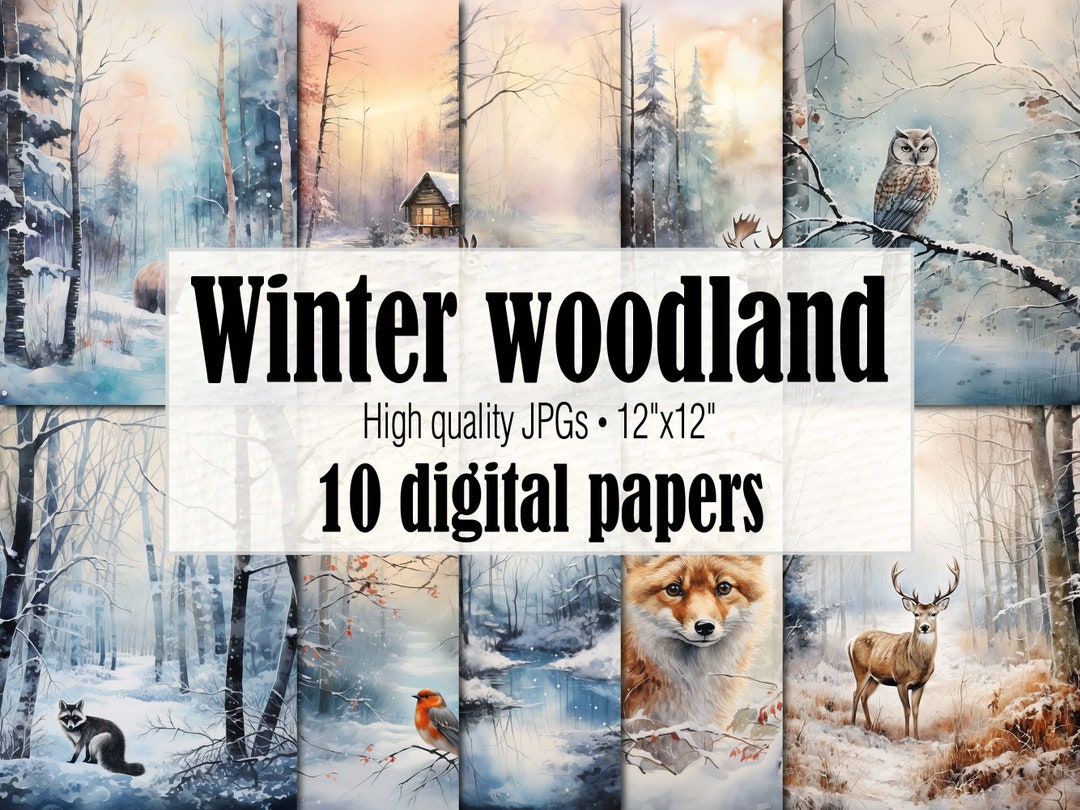 Winter Woodland Animals Winter Digital Paper, Winter Wonderland ...