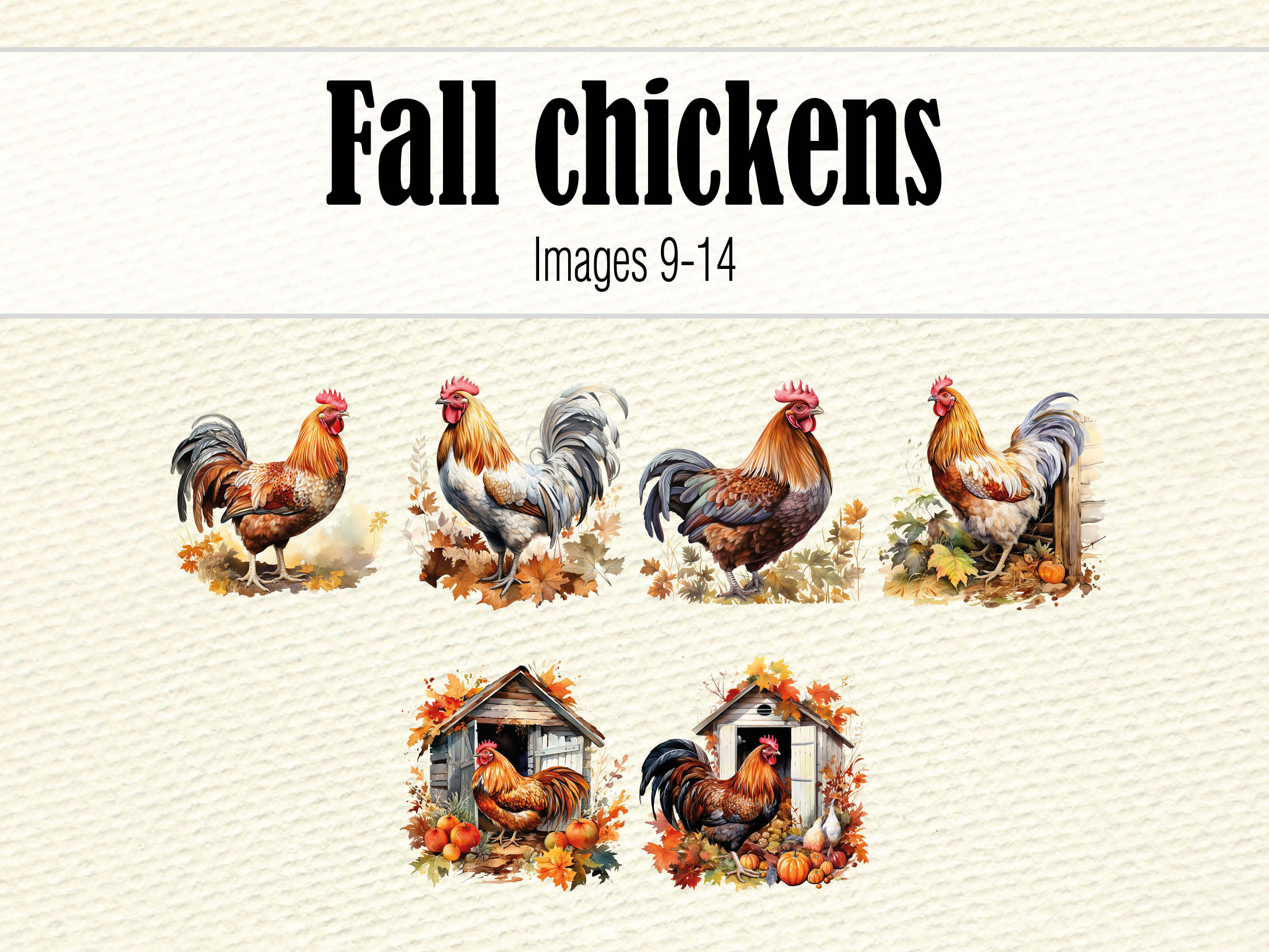 Fall Chicken Png Watercolor Chicken Sublimation Farm Animals - Etsy