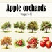 Apple Orchard Clipart, Apple Tree Clipart Apple Picking Garden Clipart ...