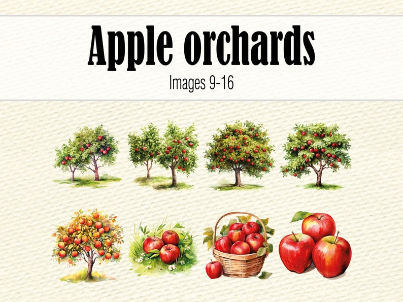 Apple Orchard Clipart, Apple Tree Clipart Apple Picking Garden Clipart ...