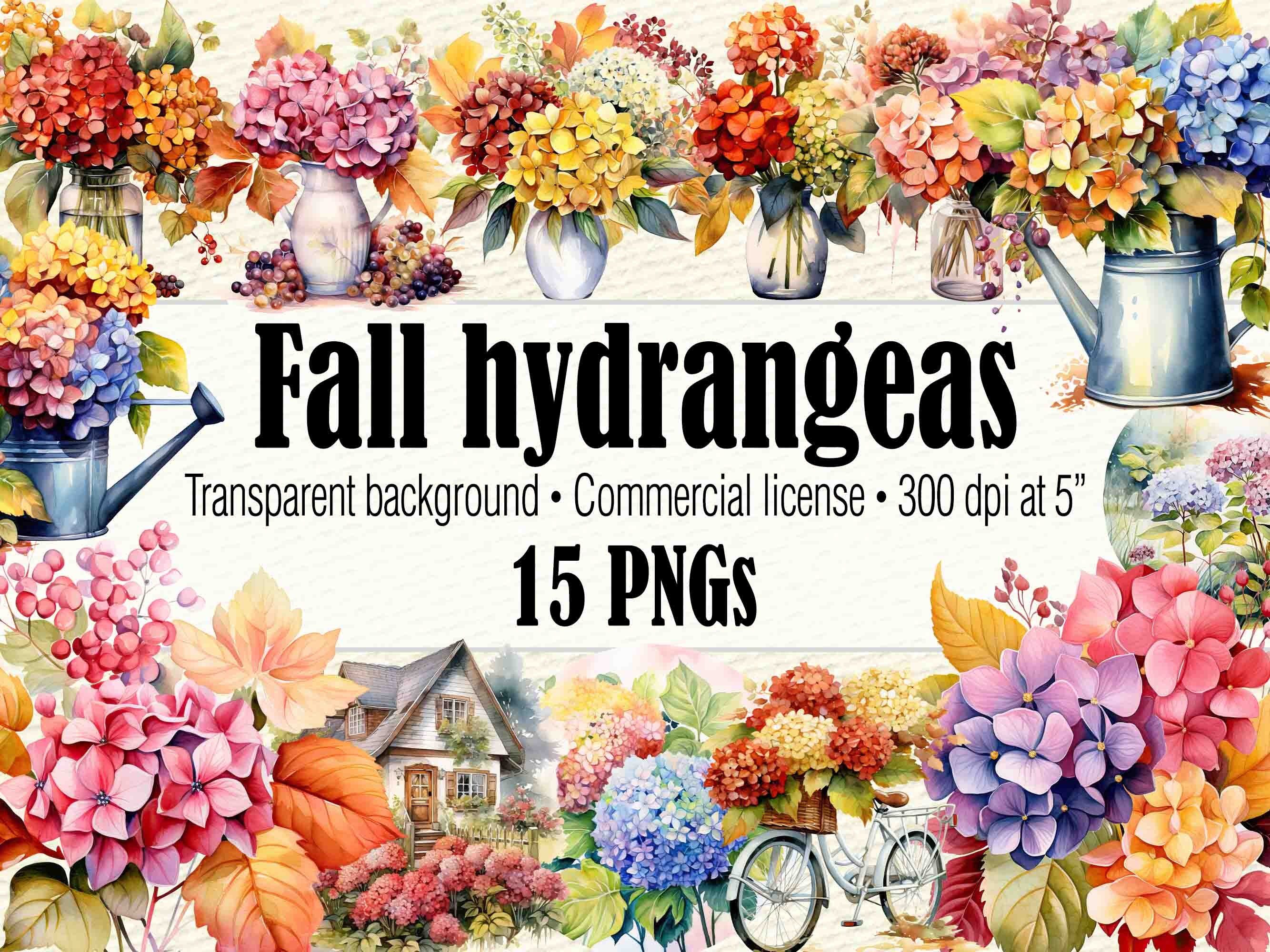 Watercolor Hydrangea Clipart Fall Flower Clipart Boho Floral - Etsy