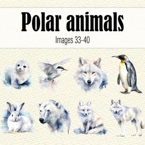 Watercolor Arctic Animals Clipart, Watercolor Polar Bear Clipart ...