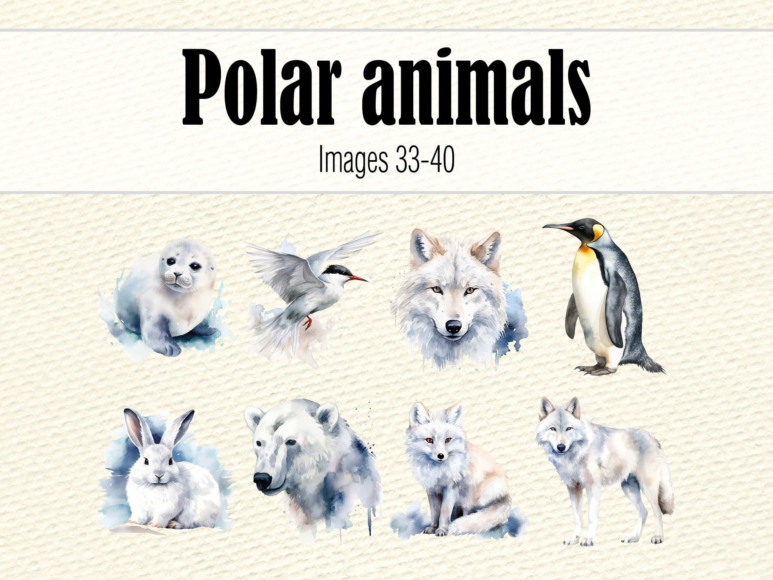 Watercolor Arctic Animals Clipart, Watercolor Polar Bear Clipart ...