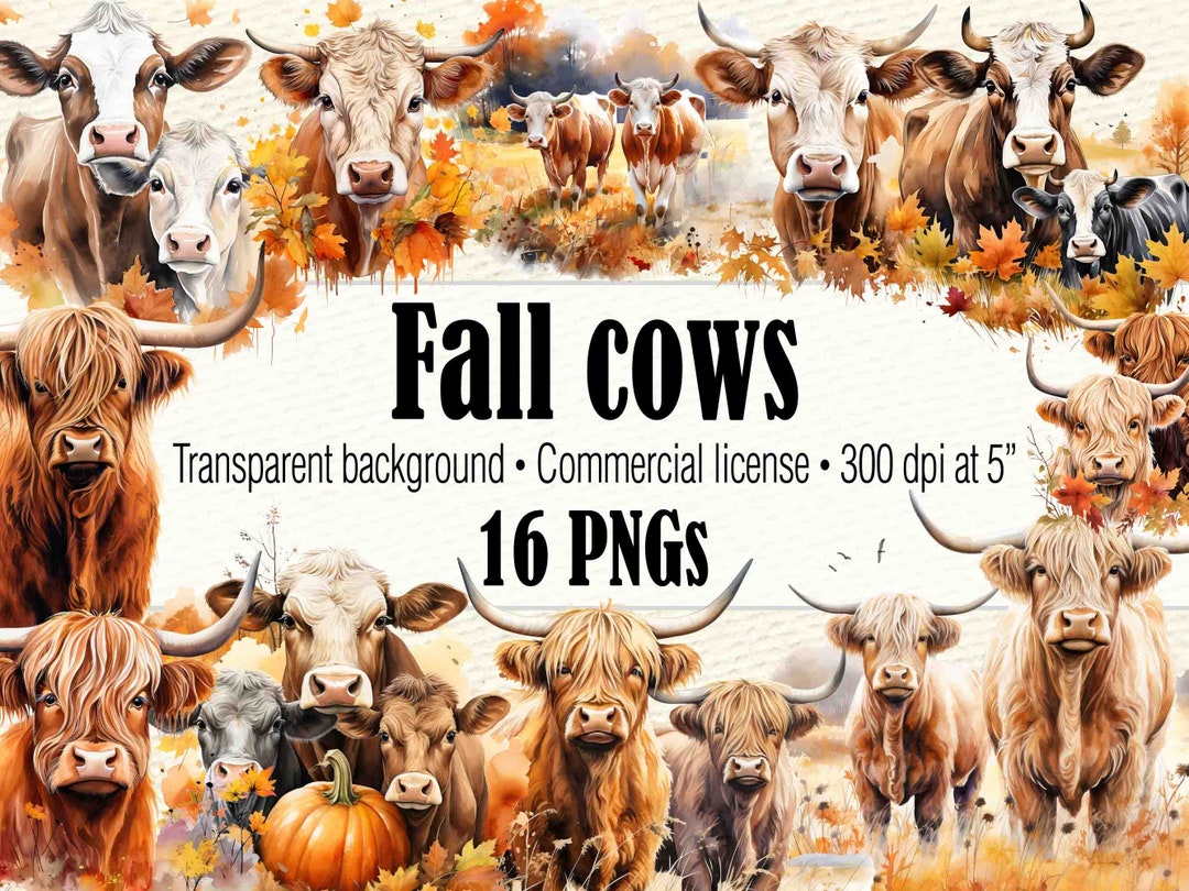 Fall Cow Png, Highland Cow Png, Cute Cow Clipart, Watercolor Cow Png ...