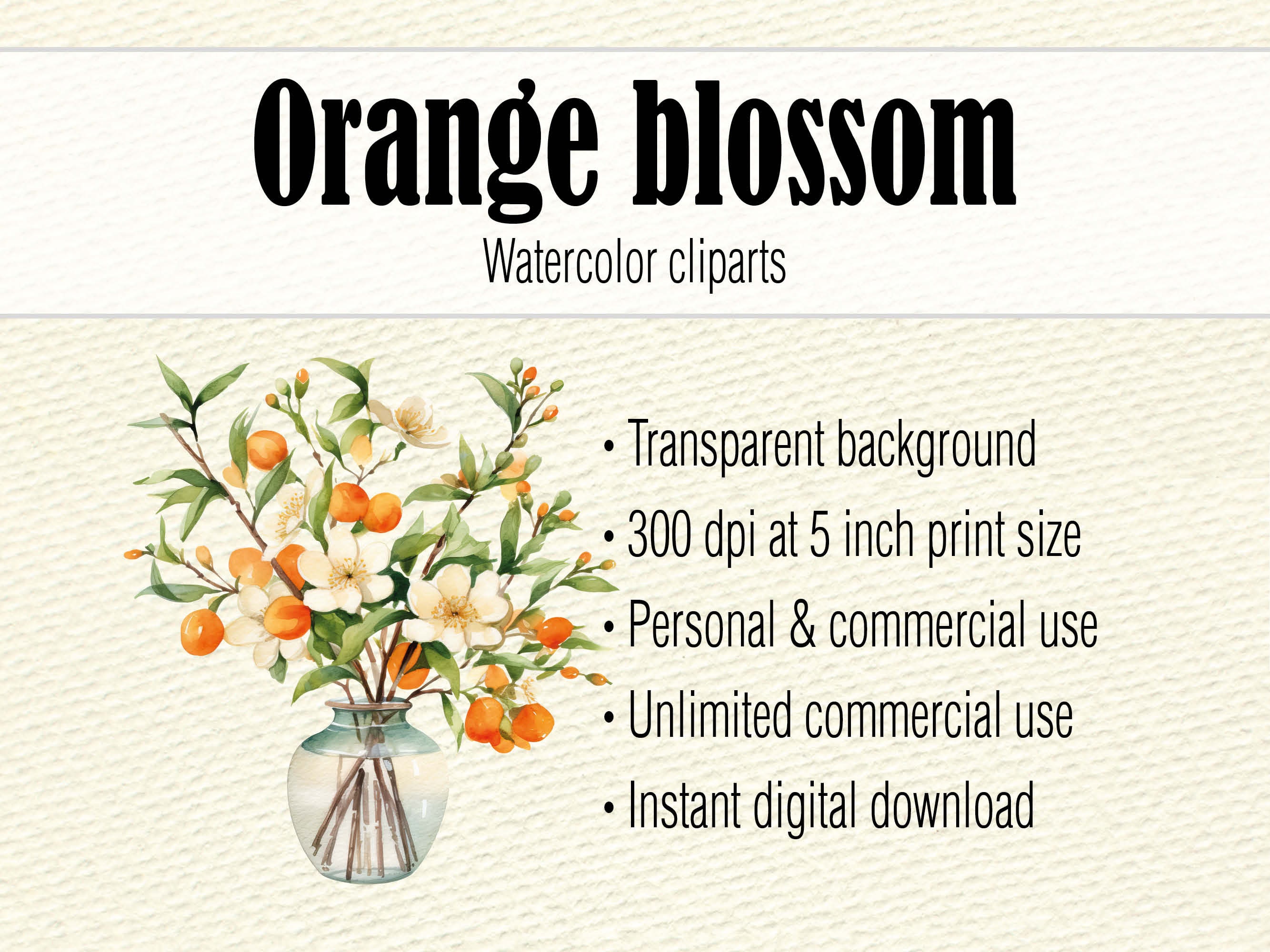 Watercolor Orange Blossom Clipart, Orange Fruit Clipart, Wreath Clipart ...