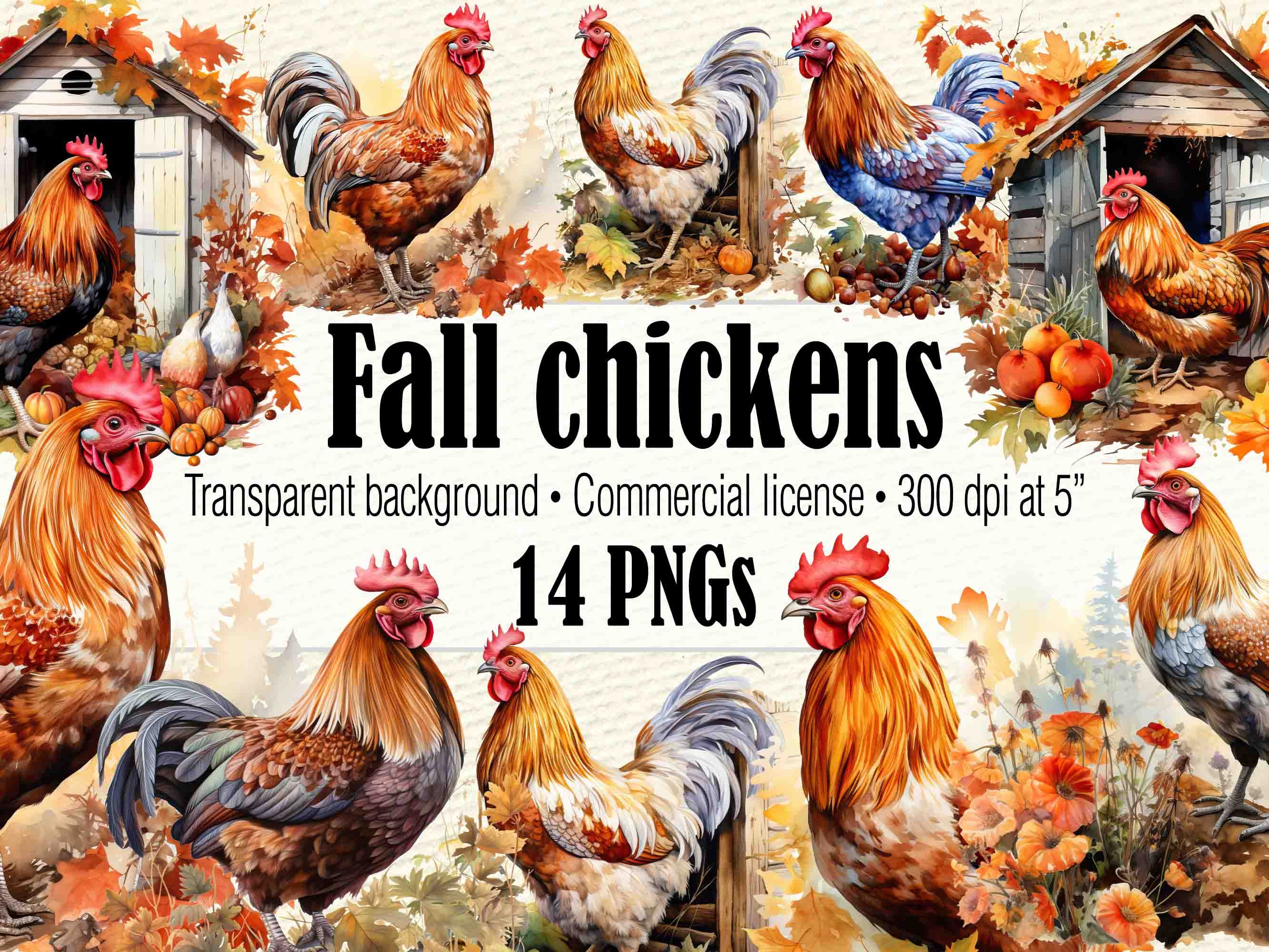 Fall Chicken Png Watercolor Chicken Sublimation Farm Animals - Etsy