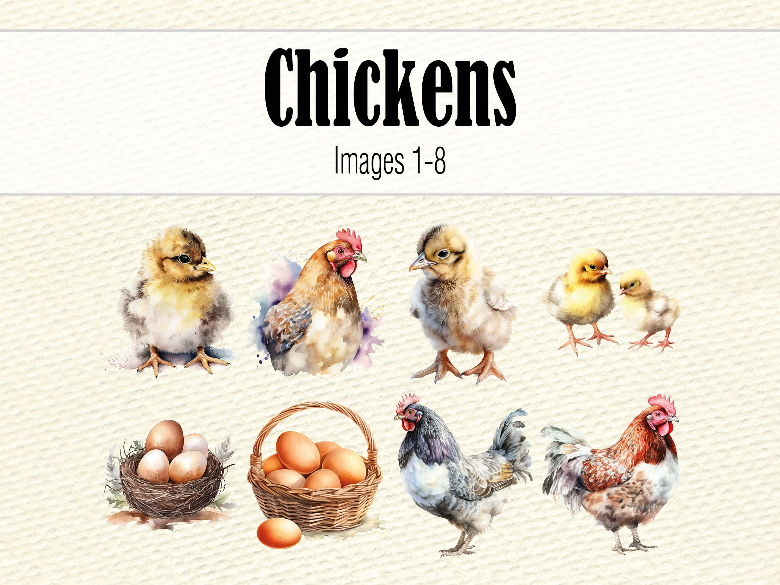 Watercolor Chicken Clipart, Floral Chicken PNG, Watercolor Rooster ...