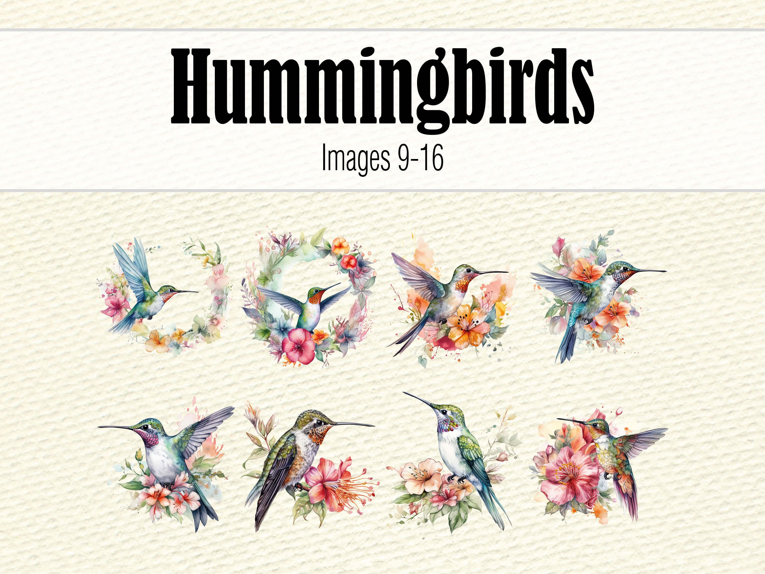Hummingbird Clipart, Hummingbird PNG, Hummingbird Watercolor ...